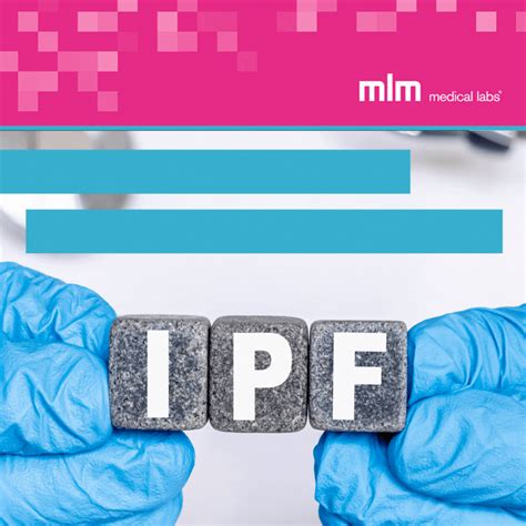 Mlm Medical Labs On Linkedin Preclinical Ipf Preclinicalmodel