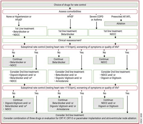 124 Epeeps Ehraesc Is Proud To Have The New 2020 Escardio Afib