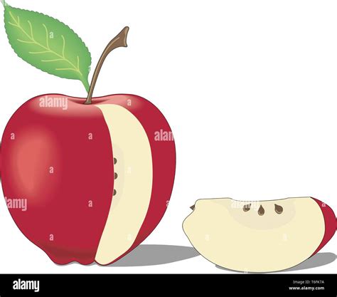 Apple Slice Vector Illustration Stock Vector Image And Art Alamy