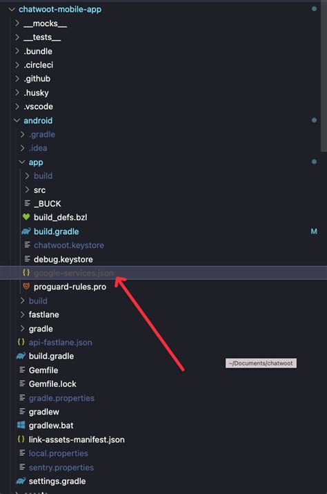 Bug Error App ProcessDebugGoogleServices Issue Chatwoot Chatwoot Mobile App GitHub