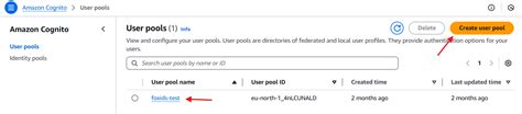 Connect To Amazon Cognito With Openid Connect Foxids