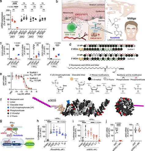 Selective Silencing Of Jak1 By Sirna Inhibits Ifn γ Signaling A
