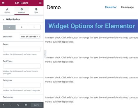 widget options widget wordpress options
