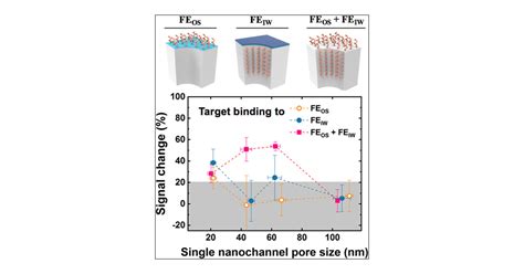 Pore Size Dependent Role Of Functional Elements At The Outer Surface And Inner Wall In Single