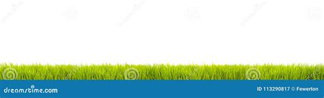 Grass Border Stock Image 21369307