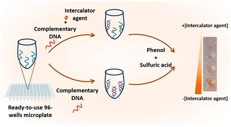 Development Of An Innovative Colorimetric Dna Biosensor Based On Sugar Measurement