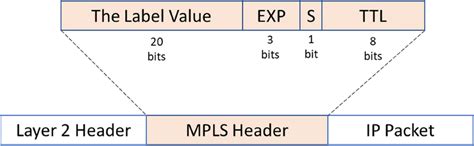 MPLS Header Mohammad Et Al Download Scientific Diagram