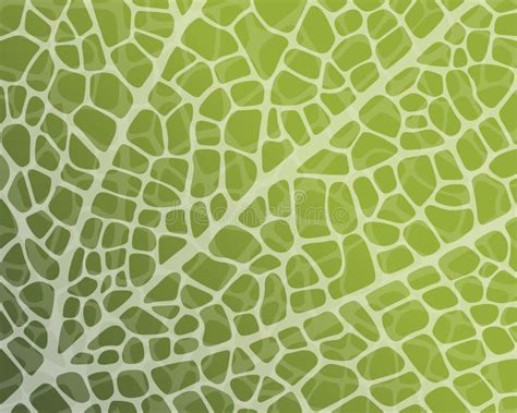 Macro Texture Of A Tree Leaf Stock Illustration Illustration Of Texture Wallpaper 351892921