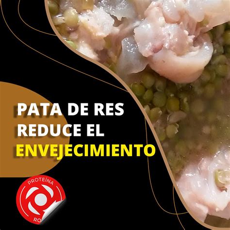 Dr Benjamín Ramírez Phd