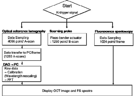 Data Flow Diagram Of Signal Processing For Simultaneous Measurement Of