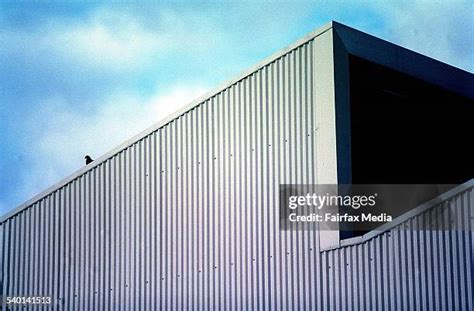 560 Gabriele Charotte Photos And High Res Pictures Getty Images