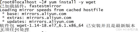 jenkins安装与部署（详细） jekenis csdn博客