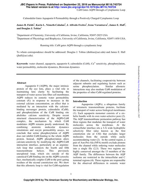 Pdf Calmodulin Gates Aquaporin 0 Permeability Through A Positively Charged Cytoplasmic Loop