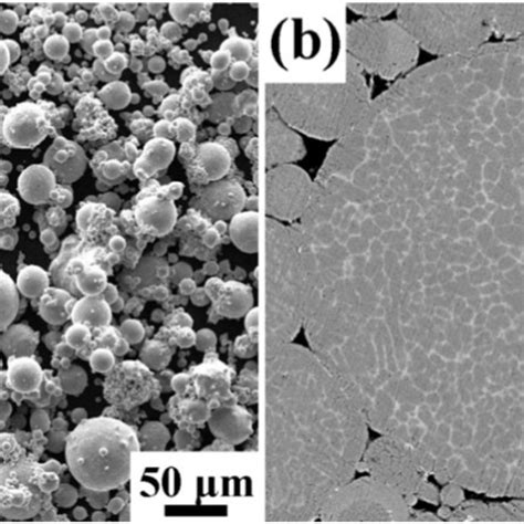 A Morphology And B Cross Sectional Microstructure Of The Download Scientific Diagram