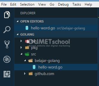 Cara Membuat Program Golang Sederhana Hello Word