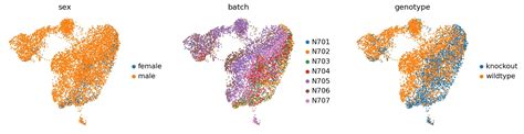Hands On Filter Plot And Explore Single Cell Rna Seq Data With Scanpy