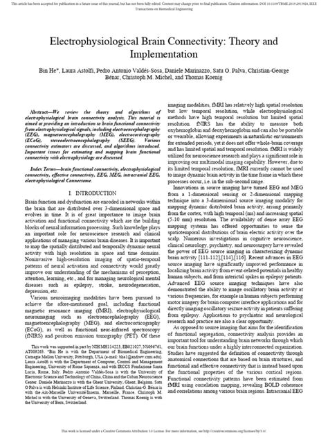 Electrophysiological Brain Connectivity Theory And Pdf Electroencephalography Time Series
