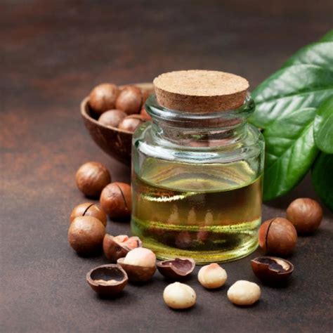 Macadamia Oil 25 Kg At ₹ 1800kg In Noida Id 2855788238712