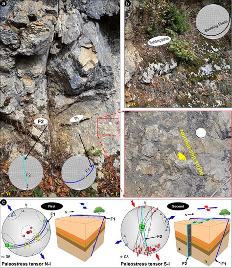 Crosscutting Relationships Of Different Fault Sets Site 20 Figure 3