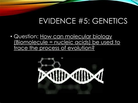 Ppt Evolutionary Evidence Exploration Anatomy Biogeography Fossils