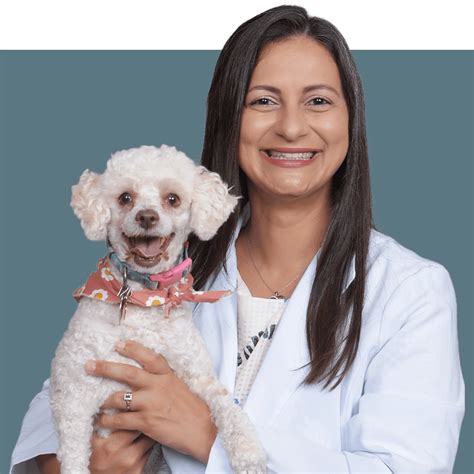 Universal City Veterinary Clinic And Urgent Care Cityvet