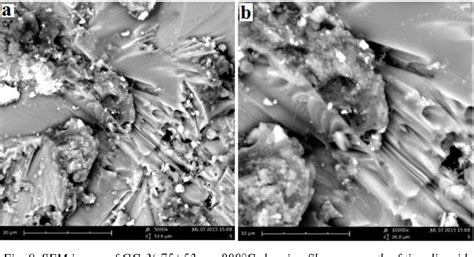 Figure 9 From Sinter Recrystalization And Properties Evaluation Of