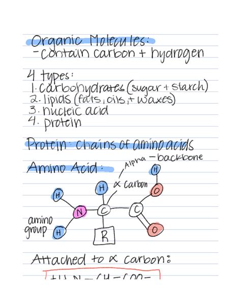 Biology 101 Structure And Function Of Organic Molecules And Proteins
