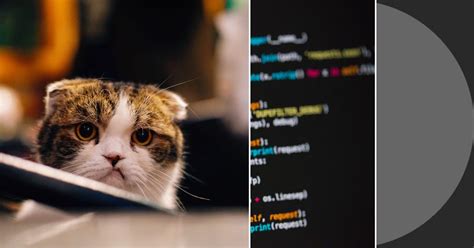 List Advanced Python Curated By Bhageerath Bogi Medium