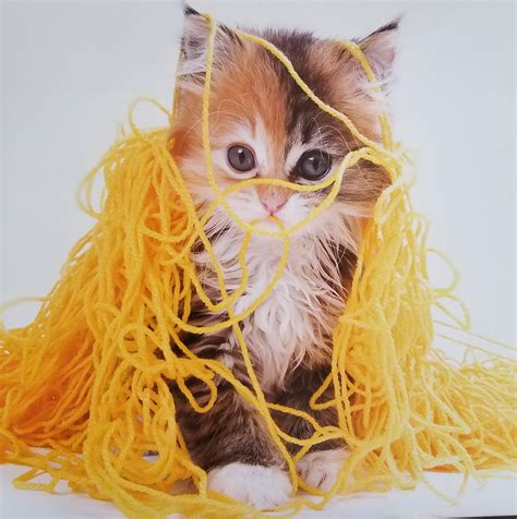 ხელნაკეთი ჩანთები