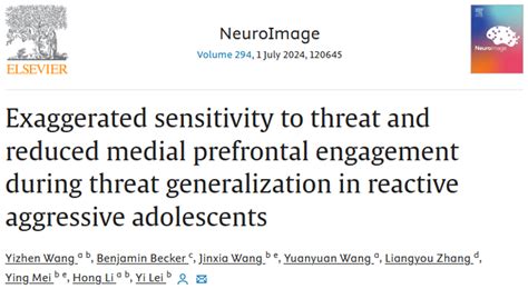 雷怡教授团队在《neuroimage》发文揭示反应性攻击青少年的恐惧加工缺陷