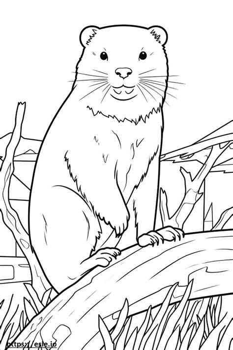 British Timber Cute Coloring Page