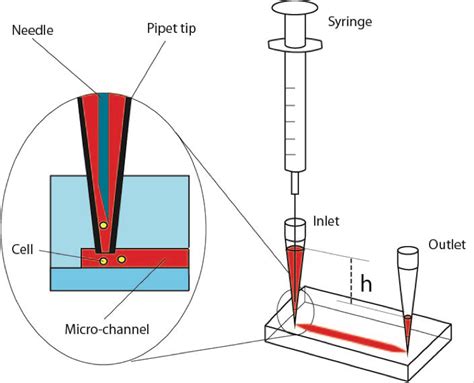 A Simple Bubble Free Cell Loading Technique For Culturing Mammalian