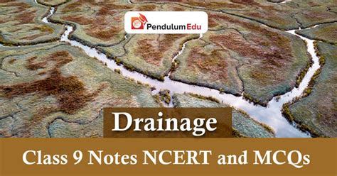 Read Ncert Class 9 Geography Chapter 3 Notes Drainage