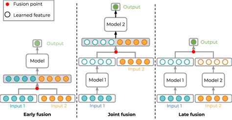 Multi Modal Data Can Be Processed In Different Ways In ML Models Download Scientific Diagram