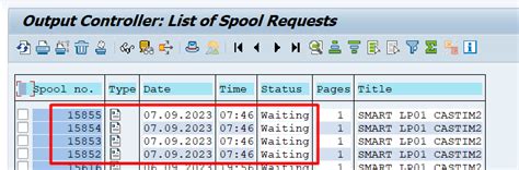 Solved Print On A Single Inventory Document EWM Multiple SAP Community