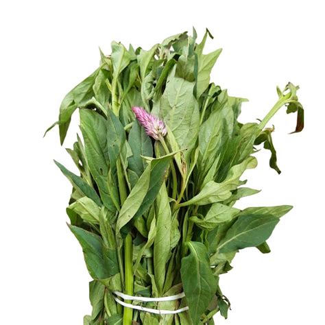 Soko 1 Pack Cosmo Farmers Online