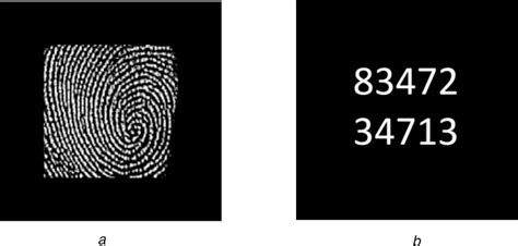 fingerprint image and plaintext image for simulation a correct