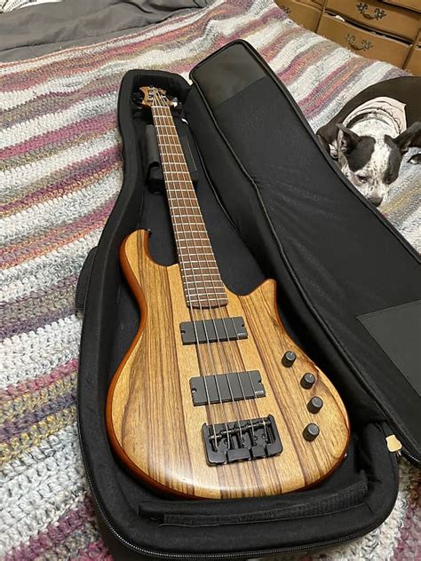 Drake Custom 5 Reverb