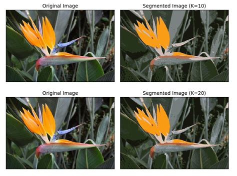 applied machine learning — part 16 bird classification using neural