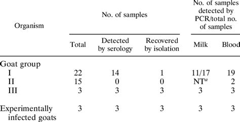 Detection Of Brucella Spp By Different Detection Methods Download Table