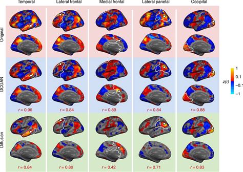 the dcgan generated functional connectivity maps are highly similar to
