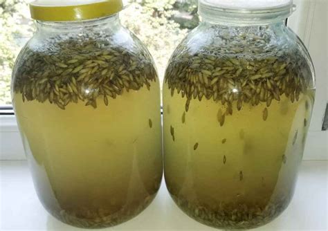 დროში გამოცდილი რეცეპტი C ჰეპატიტის წინააღმდეგ რჩევები ვივიენისგან