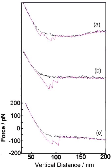 Afm Force Distance Curves Taken With The 0 01 N M Silicon Nitride Download Scientific Diagram