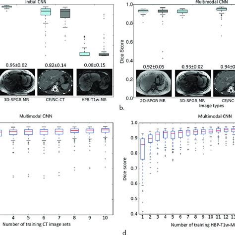 Liver Segmentation Accuracy Of The Initial Convolutional Neural Network