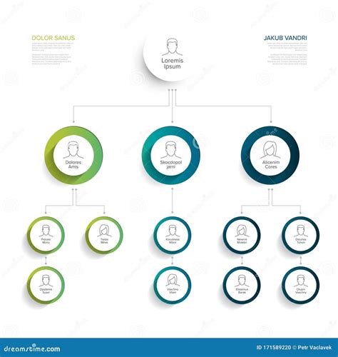 Minimalist Hierarchy Chart Template Vector Illustration Cartoondealer