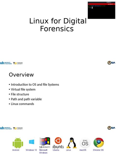 3 linux command line tutorial pdf file system computer file