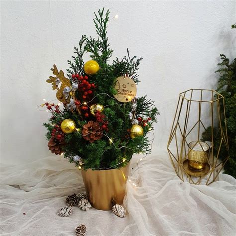 프리저브드플라워 생화트리장식 크리스마스홈파티 압구정 꽃집 꽃페라 일산꽃집 선물과꽃 네이버 블로그