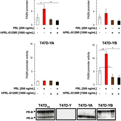Exogenous Prolactin Activates Fasn Gene Promoter Activity By Engaging Download Scientific