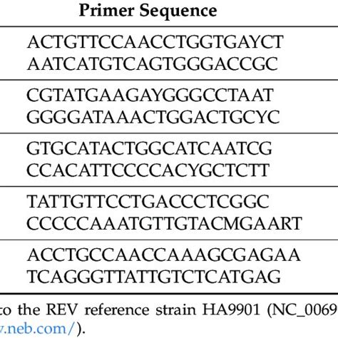 Gag Protein Polymorphism And Modeling A Localization Of Gag Download Scientific Diagram