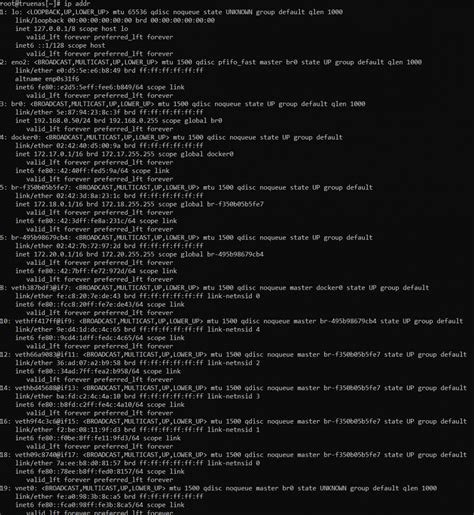 Solved Vm On Bridge Network Only Has Access To Host Truenas Community
